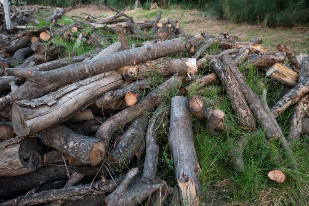 Tree Debris Removal in Hillsboro, OR | Tree Limb Removal in Hillsboro ...